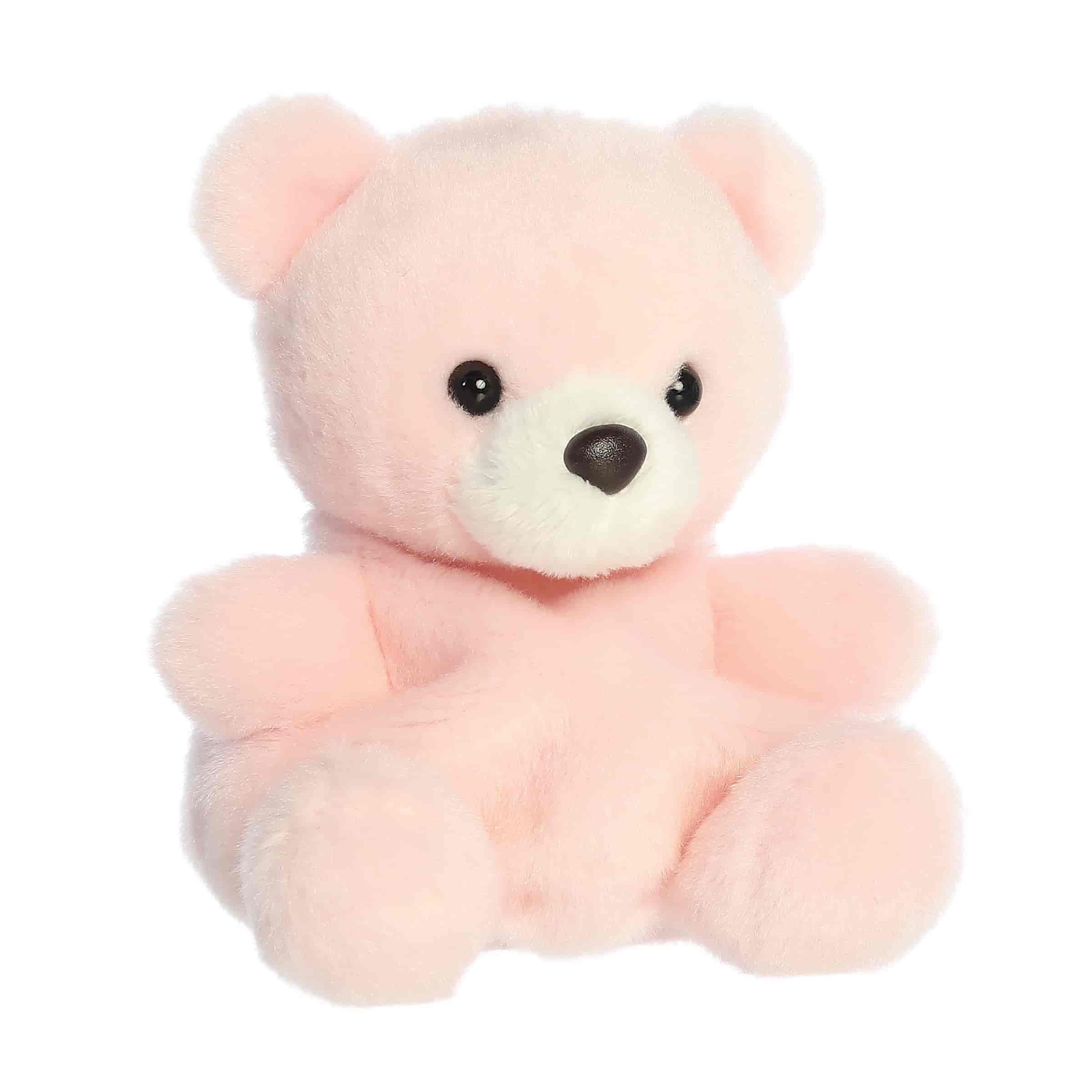 Palm Pals Bailey Baby Bear 5-Inch Plush Soft Toy | ReChild